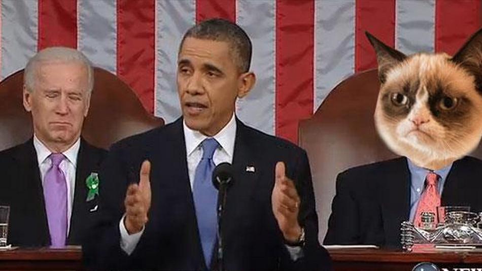 Boehner Grumpy Cat | Grumpy Cat | Know Your Meme