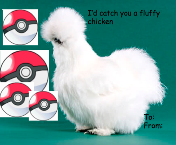 [Image - 501106] | Peyton's Fluffy Chicken | Know Your Meme