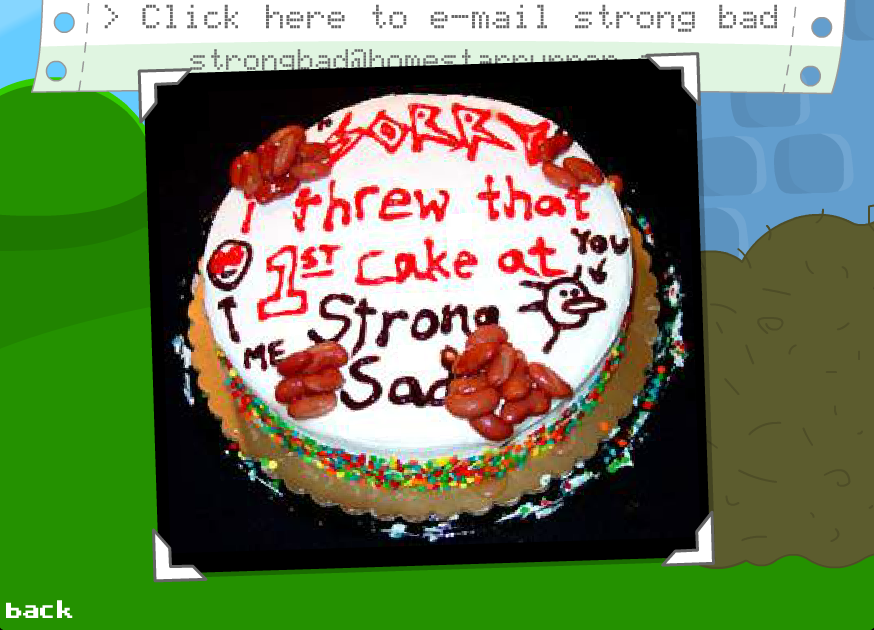 Strong Bad s Apology Cake IRL Apology Cakes Know Your Meme