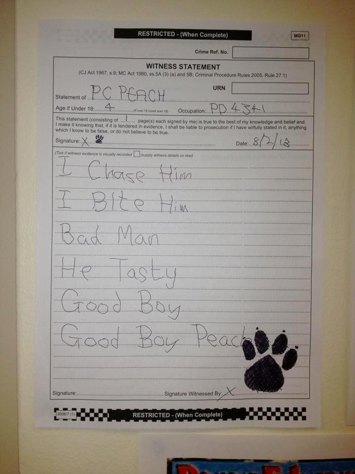 PC Peach | Yes, This is Dog | Know Your Meme