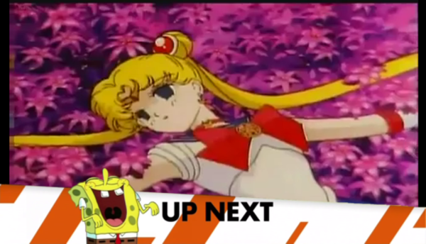 ITSB Sailor Moon | Inappropriate Timing Spongebob Banner | Know Your Meme