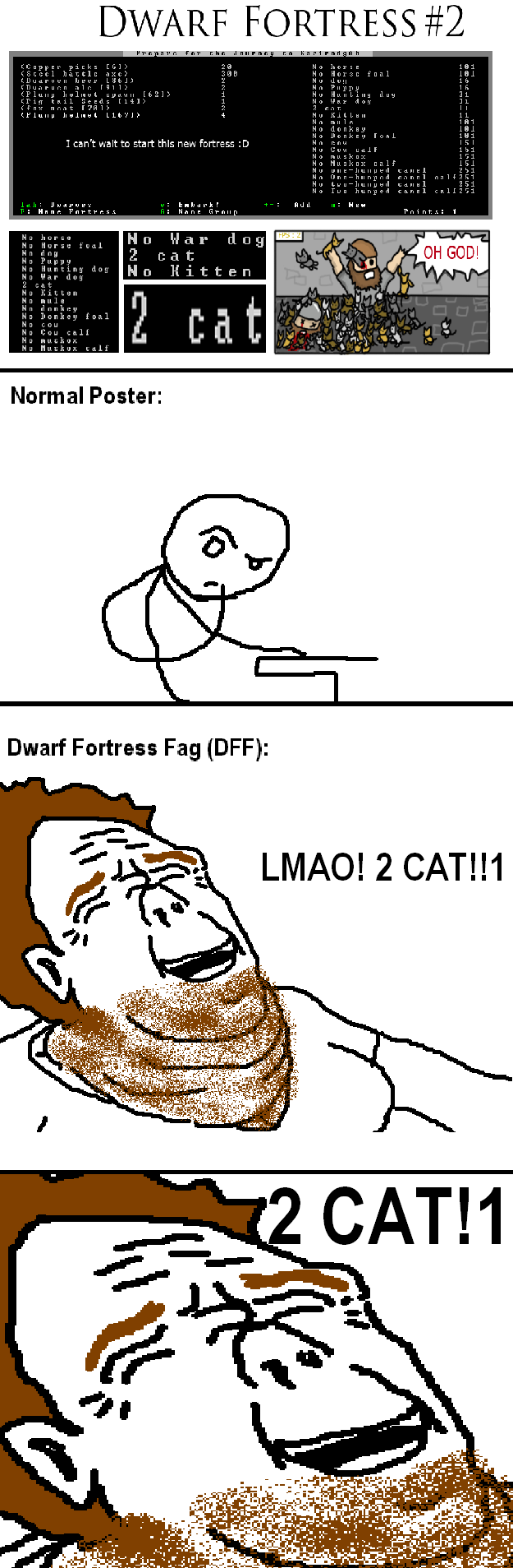 DFF | Dwarf Fortress | Know Your Meme