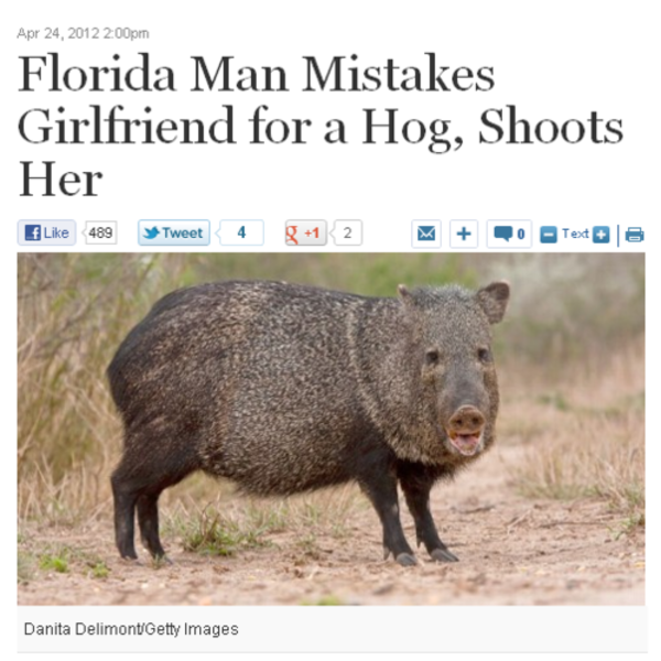 [Image - 505475] | Florida Man | Know Your Meme