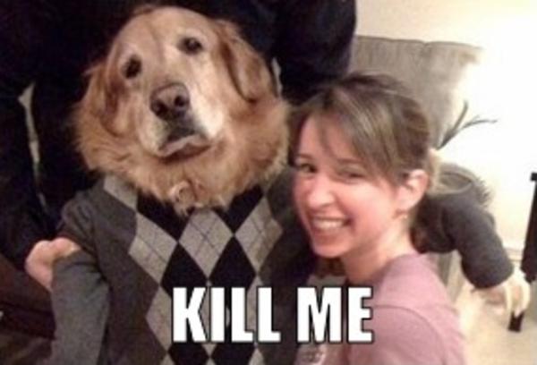 KILL ME Dog | Kill Me | Know Your Meme