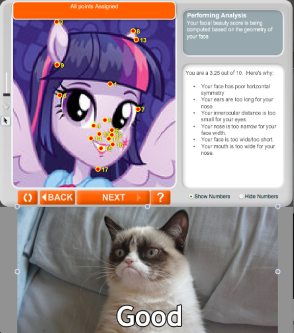 Grumpy cat approved | My Little Pony: Friendship is Magic | Know Your Meme