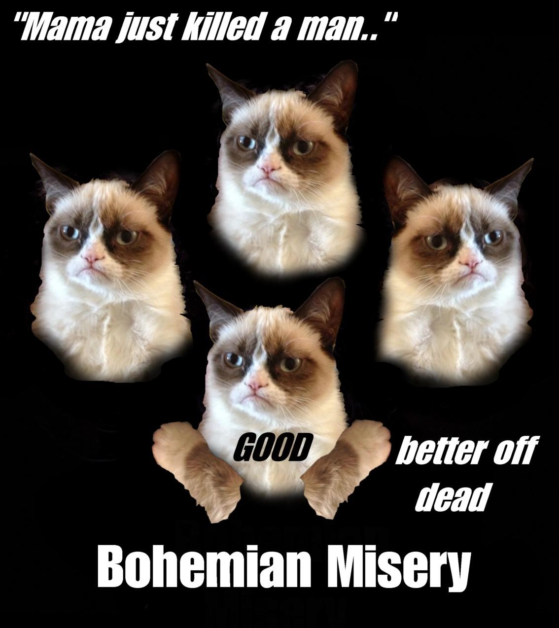Grumpy cat meets Queen | Grumpy Cat | Know Your Meme