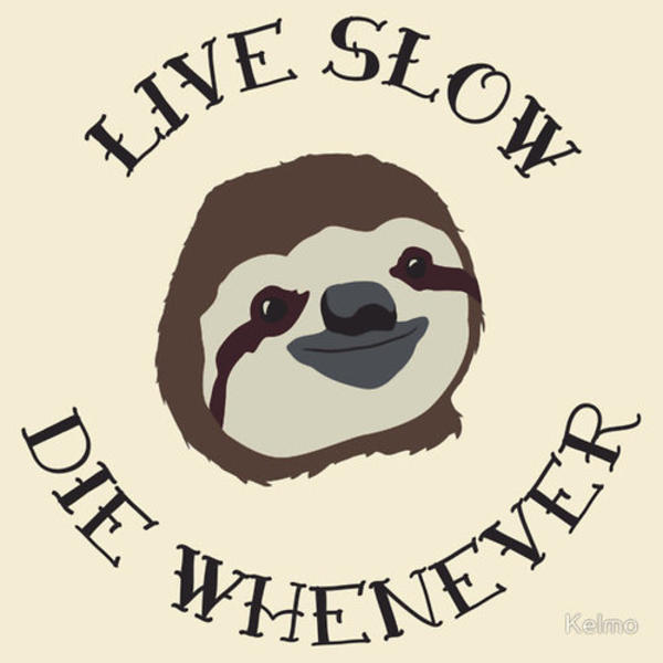 [Image - 516198] | Sloths | Know Your Meme