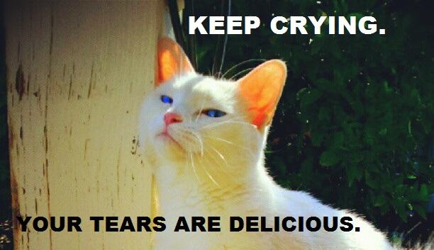 Sadistic Skye | Your Tears are Delicious | Know Your Meme