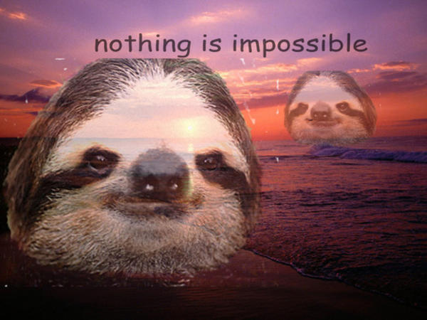 [Image - 517357] | Sloths | Know Your Meme
