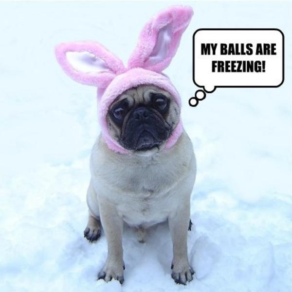 BLUE BALLS | Know Your Meme