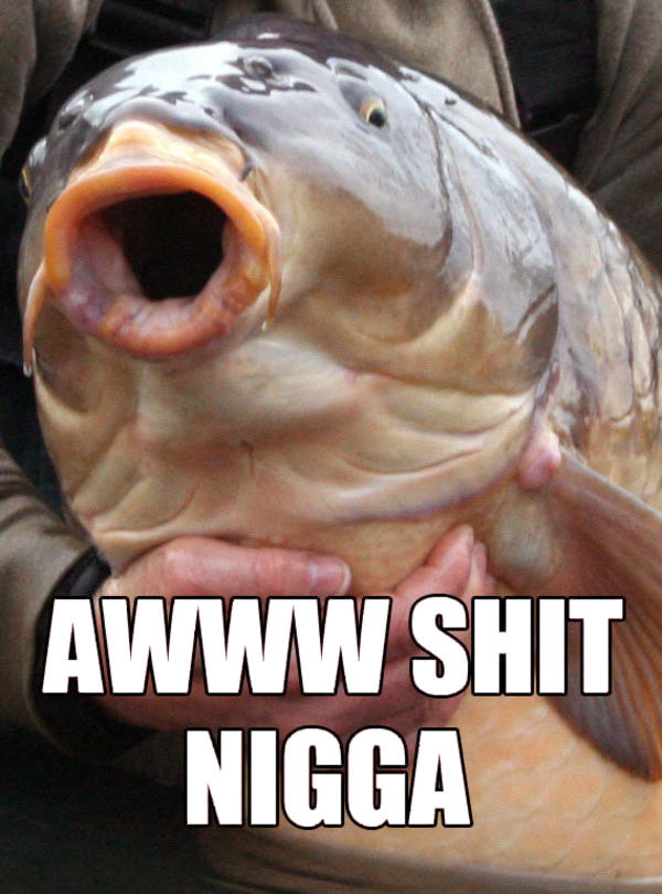 AWWW SHIT NIGGA | Reaction Images | Know Your Meme