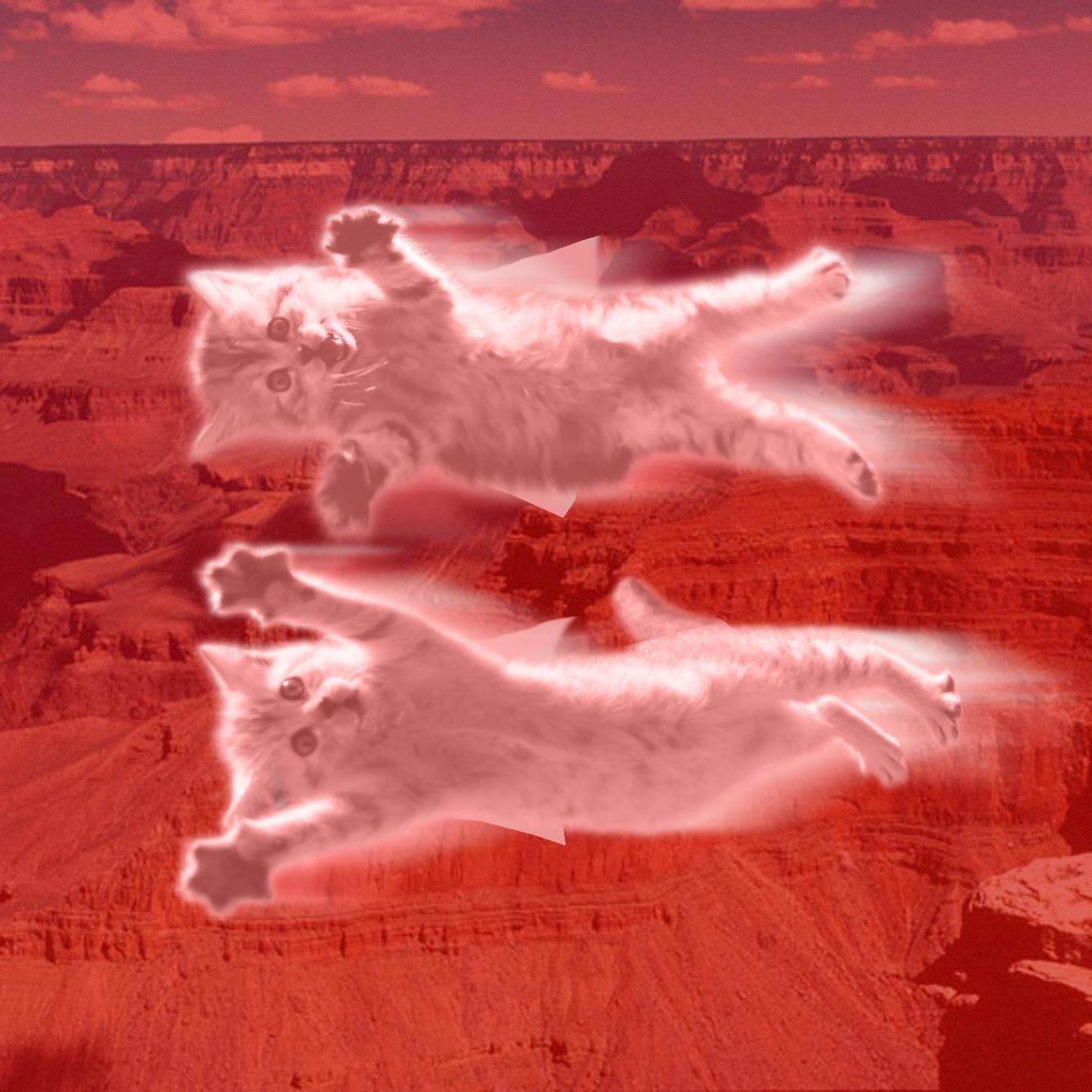 Equalkitties | Red Equal Sign | Know Your Meme