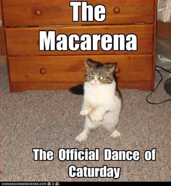 [Image - 522219] | Macarena | Know Your Meme