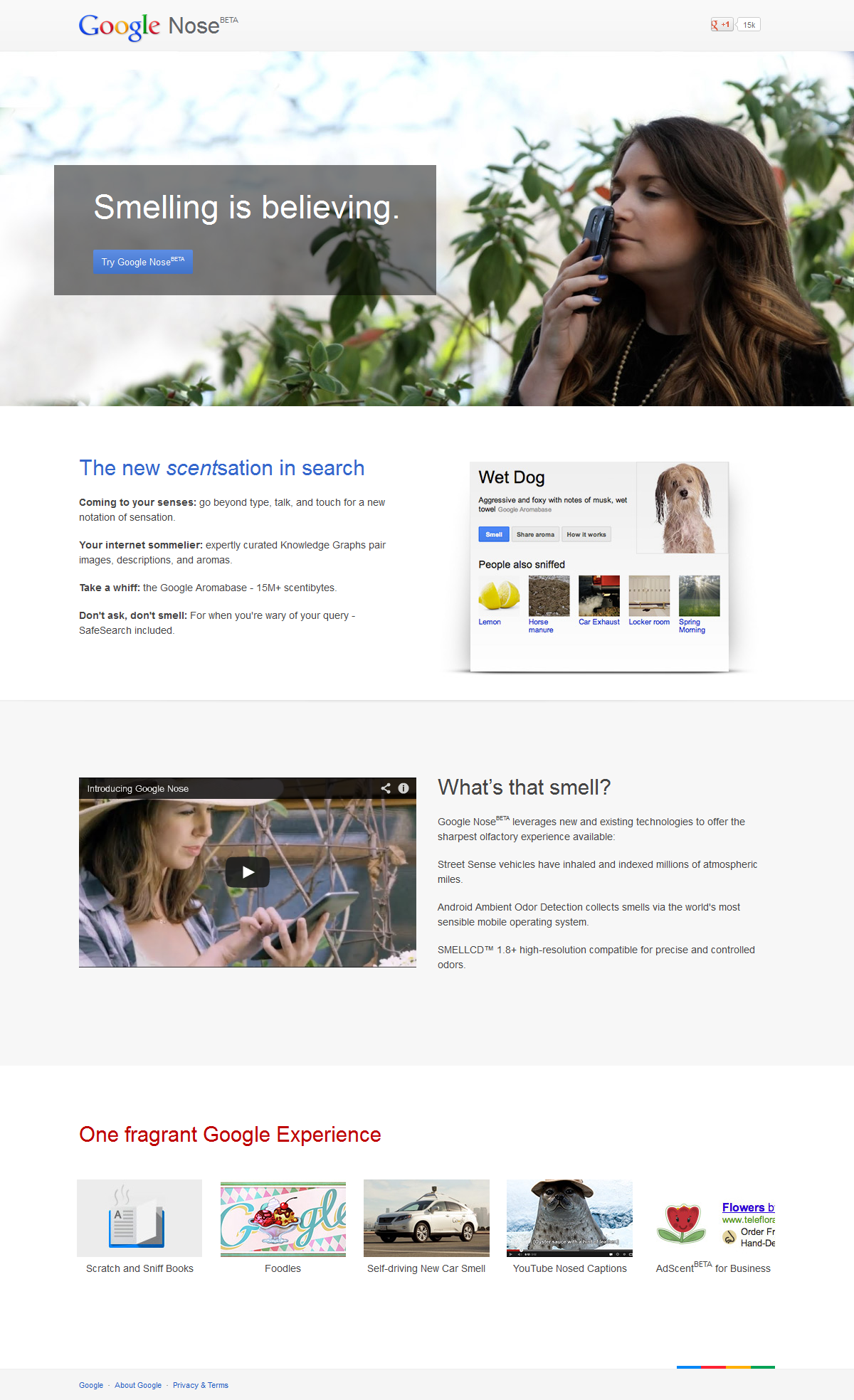 Google Nose | Google | Know Your Meme