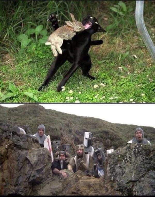 [Image - 529326] | Monty Python | Know Your Meme