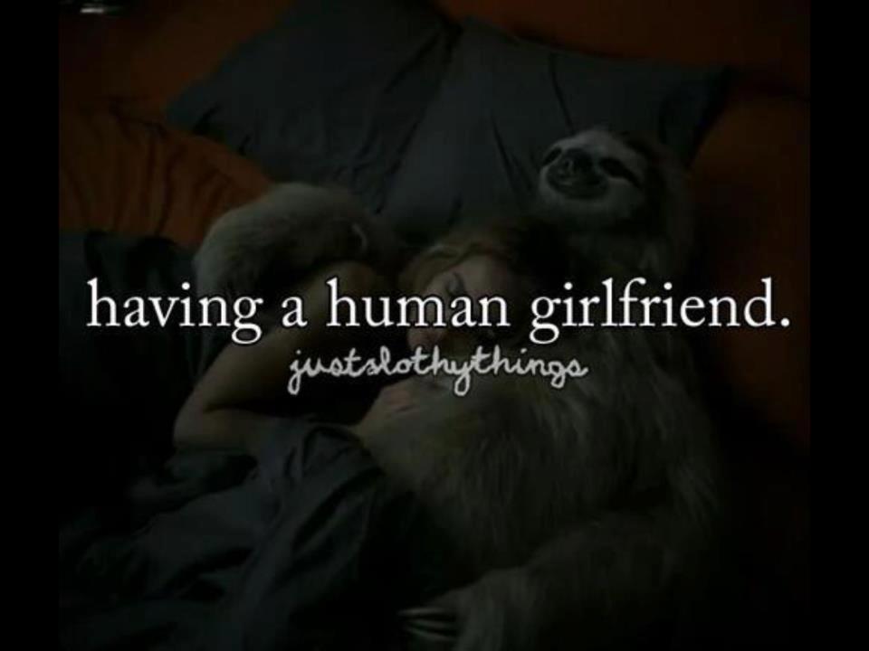 [Image - 530034] | Sloths | Know Your Meme