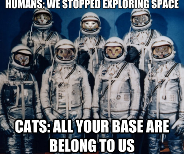 Catsplorers | Know Your Meme