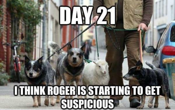 [Image - 532164] | They Still Do Not Realize... | Know Your Meme