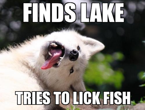 [Image - 534010] | Moon Moon | Know Your Meme