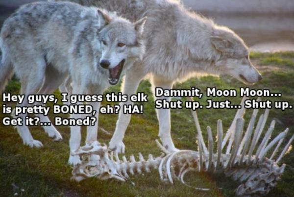 [Image - 534231] | Moon Moon | Know Your Meme