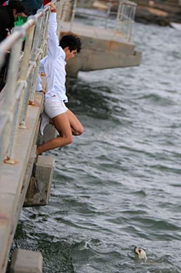 [Image - 536004] | Faith in Humanity Restored | Know Your Meme