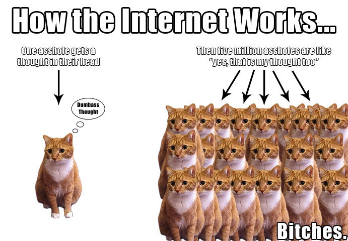 How the Internet Works | Mylo the Cat | Know Your Meme