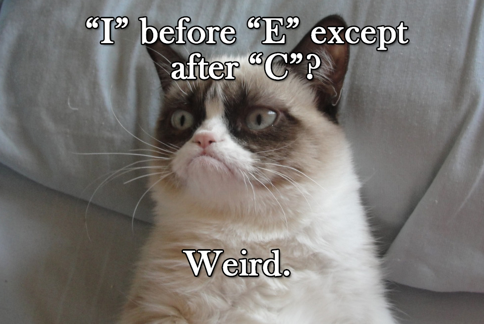 Grammar | Grumpy Cat | Know Your Meme