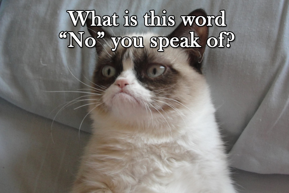 No | Grumpy Cat | Know Your Meme