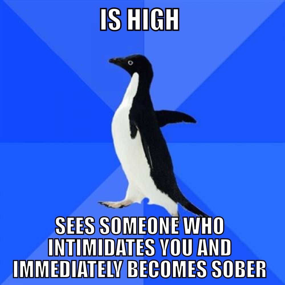 [Image - 541804] | Socially Awkward Penguin | Know Your Meme