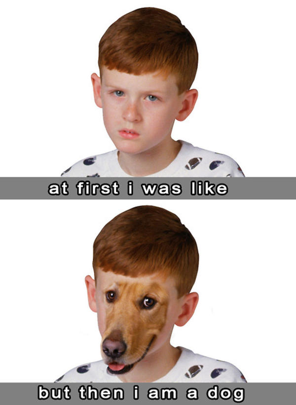 [Image - 542844] | On the Internet, Nobody Knows You're a Dog | Know ...