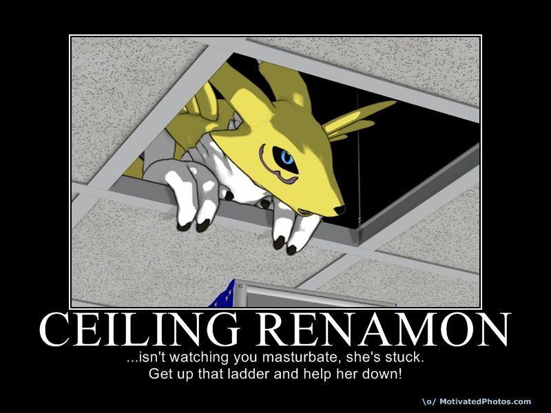 Ceiling Renamon | Ceiling Cat | Know Your Meme