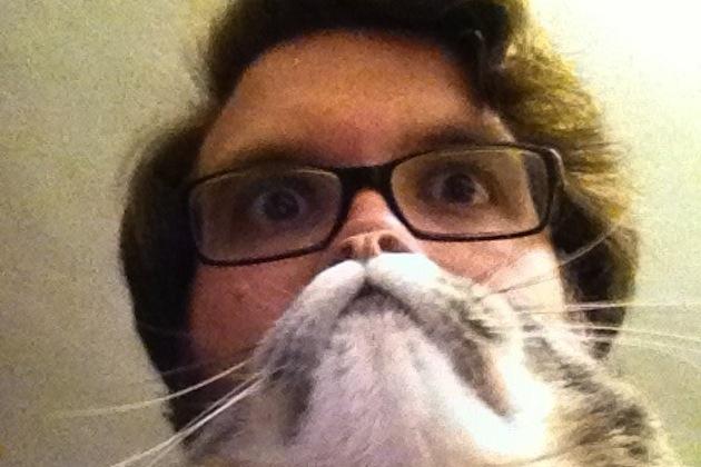 [Image - 546112] | Cat Beards | Know Your Meme
