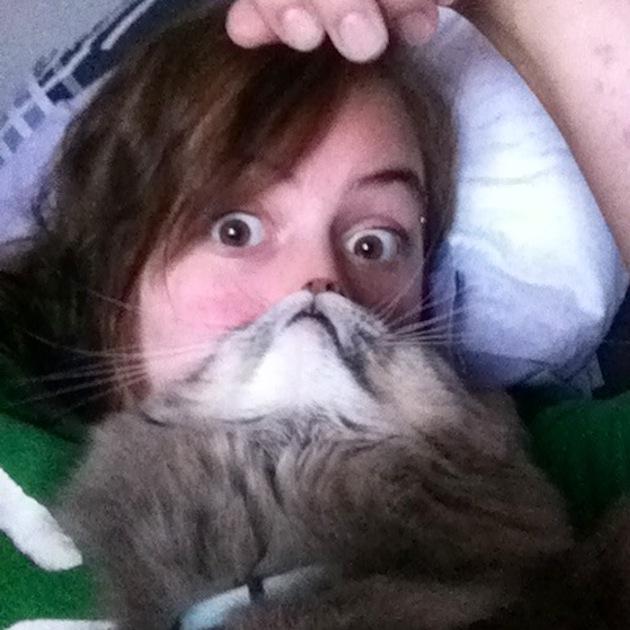 [Image - 546114] | Cat Beards | Know Your Meme