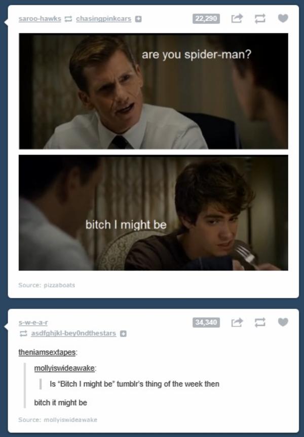 [Image - 546184] | Bitch I Might Be | Know Your Meme