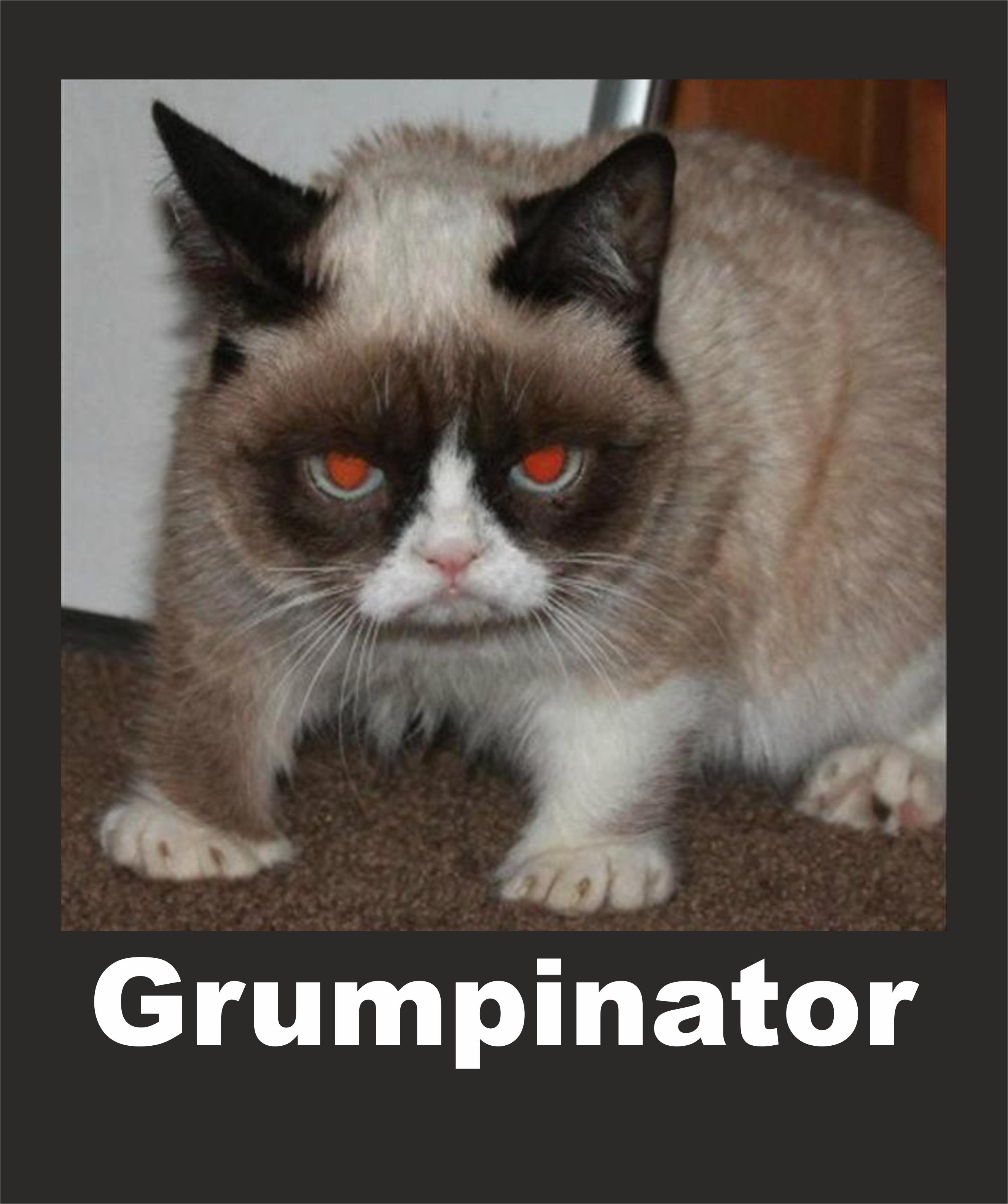 Image 547715 Grumpy Cat Know Your Meme Image 547715 Grumpy Cat Know Your Meme