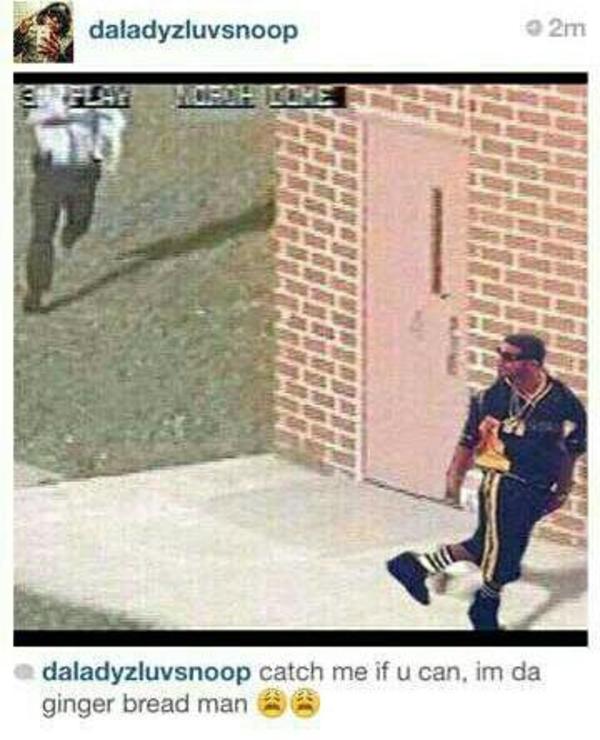 Catch me if u can! I'm the Gingerbread Man! | Drake in Dada / Drake ...