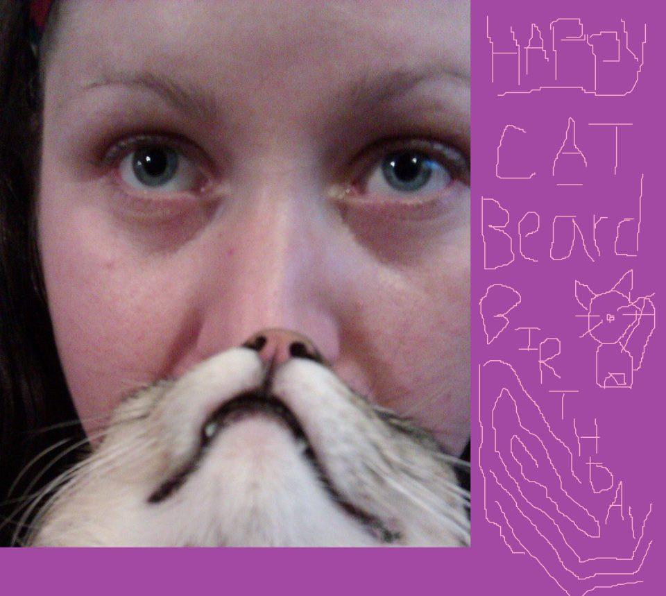 [Image - 548234] | Cat Beards | Know Your Meme