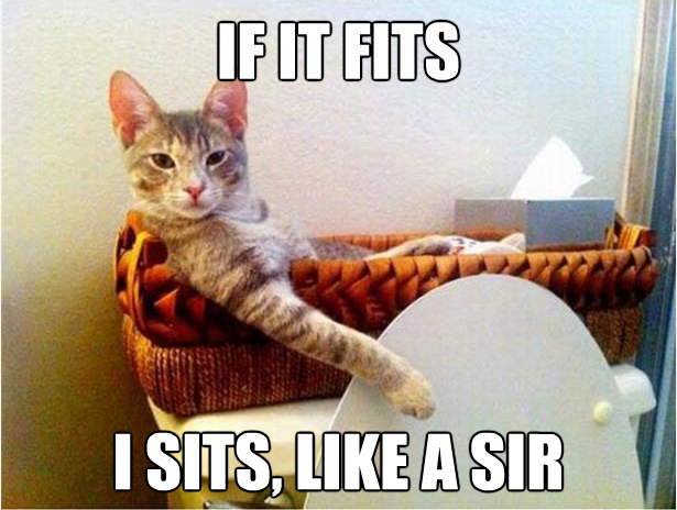[Image - 548674] | If It Fits I Sits | Know Your Meme