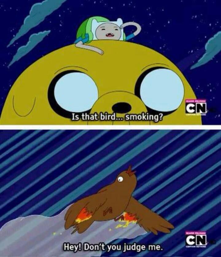 Is that bird... | Adventure Time | Know Your Meme
