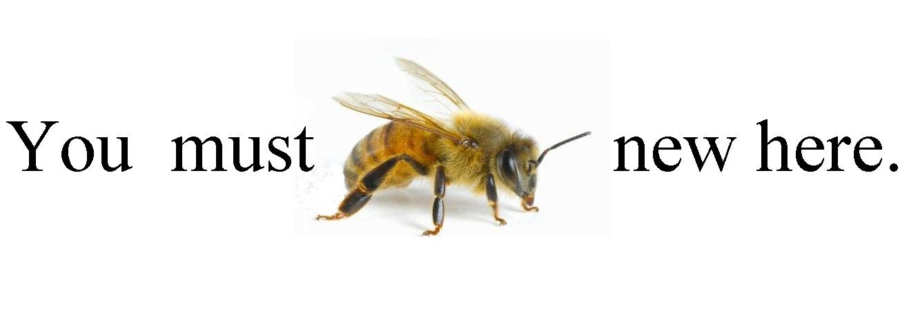 You must bee new here. | You Must Be New Here | Know Your Meme