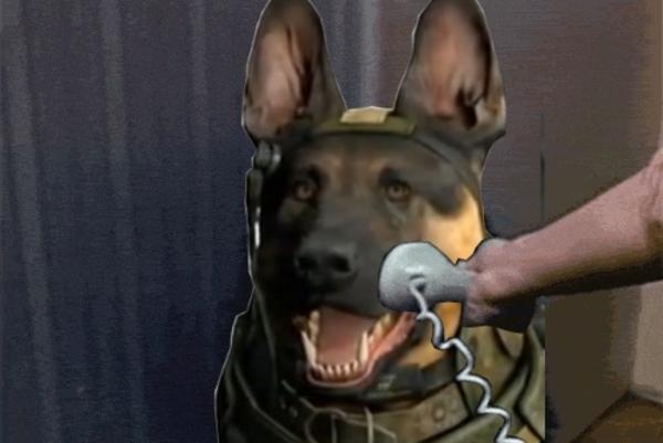 [Image - 550175] | Call of Duty Dog | Know Your Meme