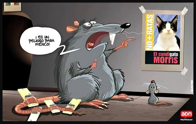 Political cartoon about Morris 2 | El CandiGato Morris (Morris the Cat ...