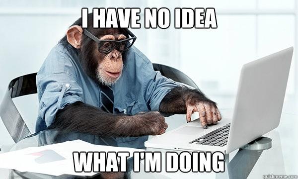 [Image - 558302] | I Have No Idea What I'm Doing | Know Your Meme