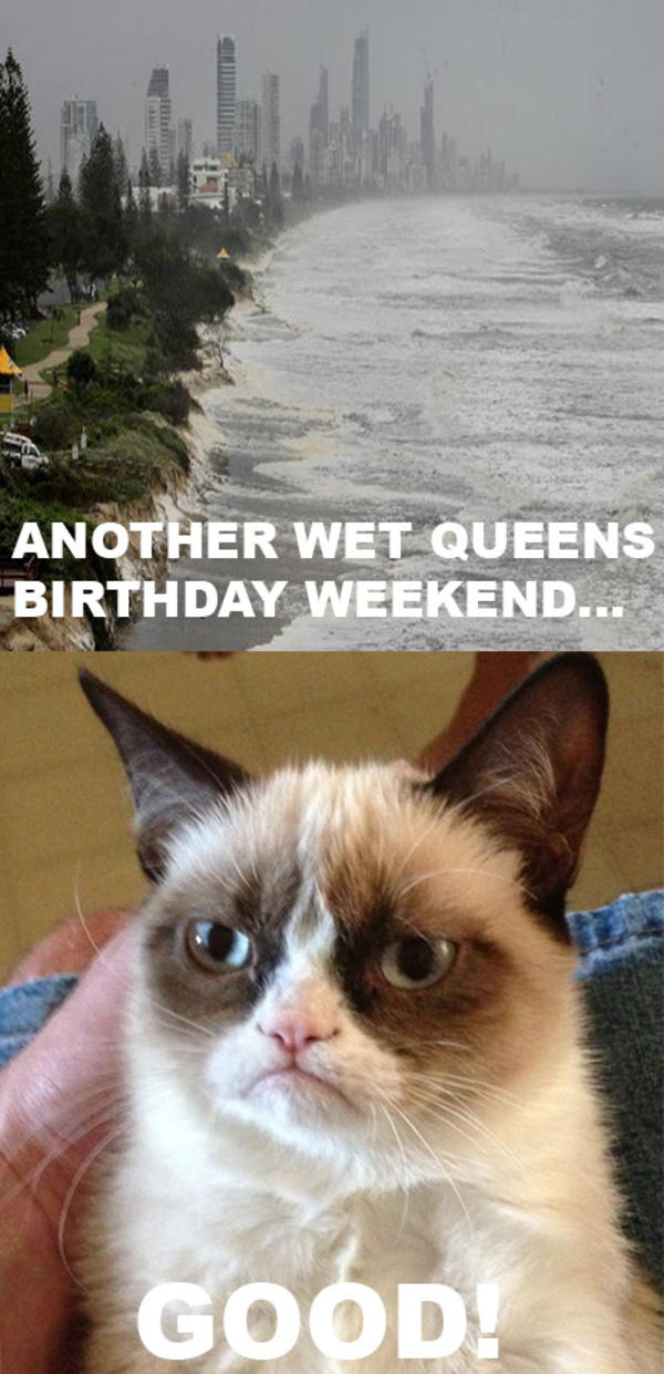 Grumpy Cat Loves Wet Weekends | Grumpy Cat | Know Your Meme