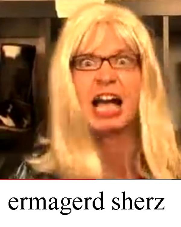 sherz | Ermahgerd | Know Your Meme