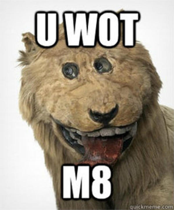 U wot m8 Lion | U WOT M8 | Know Your Meme