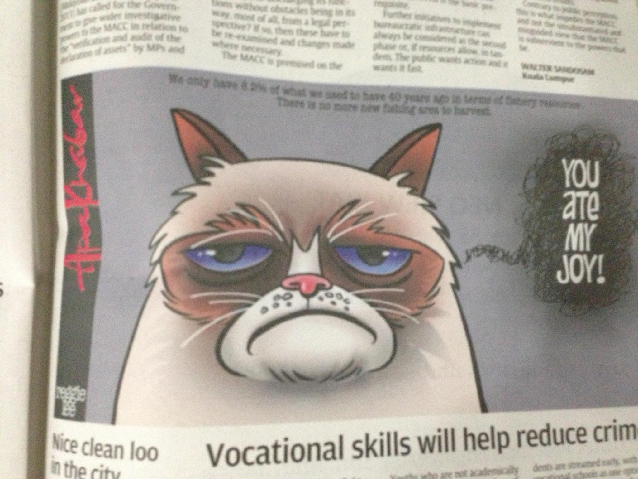 Malaysian comic artist drawing of grumpy cat | Grumpy Cat | Know Your Meme