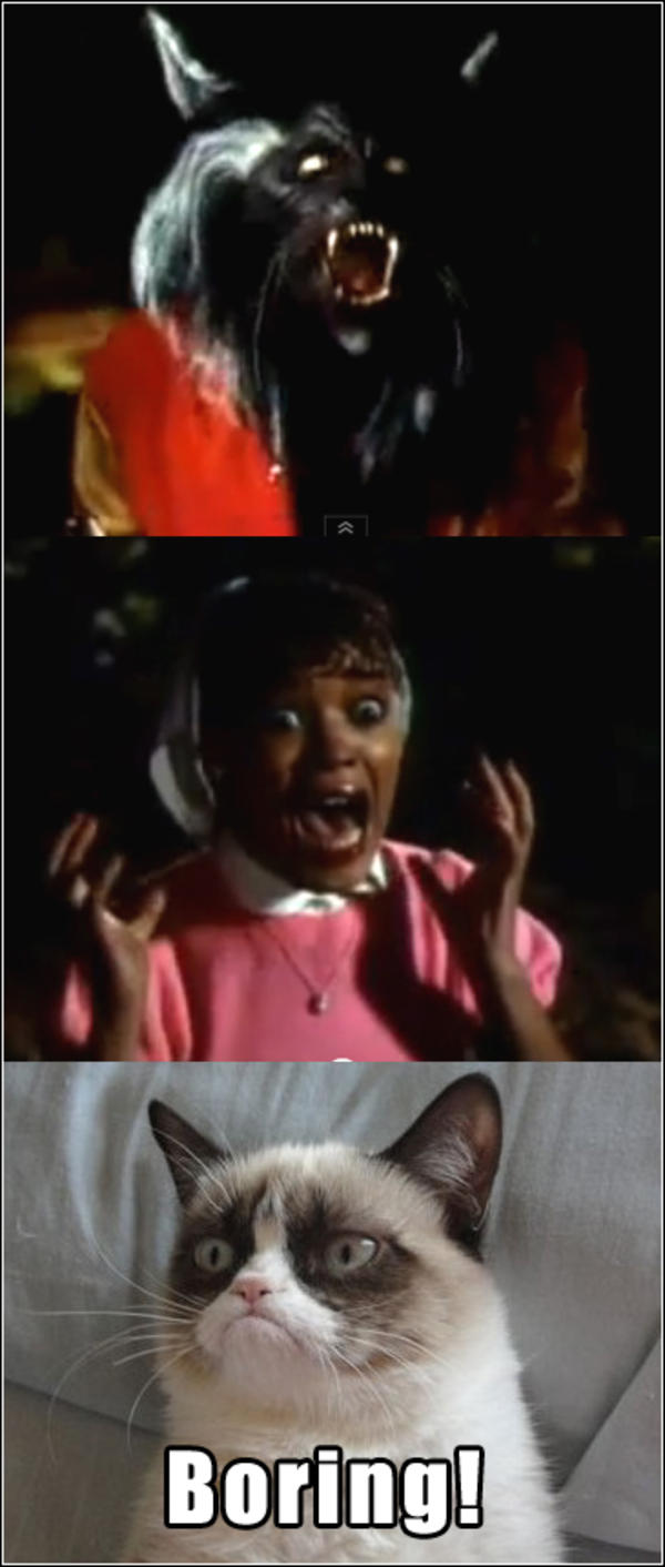 Grumpy cat | Grumpy Cat | Know Your Meme