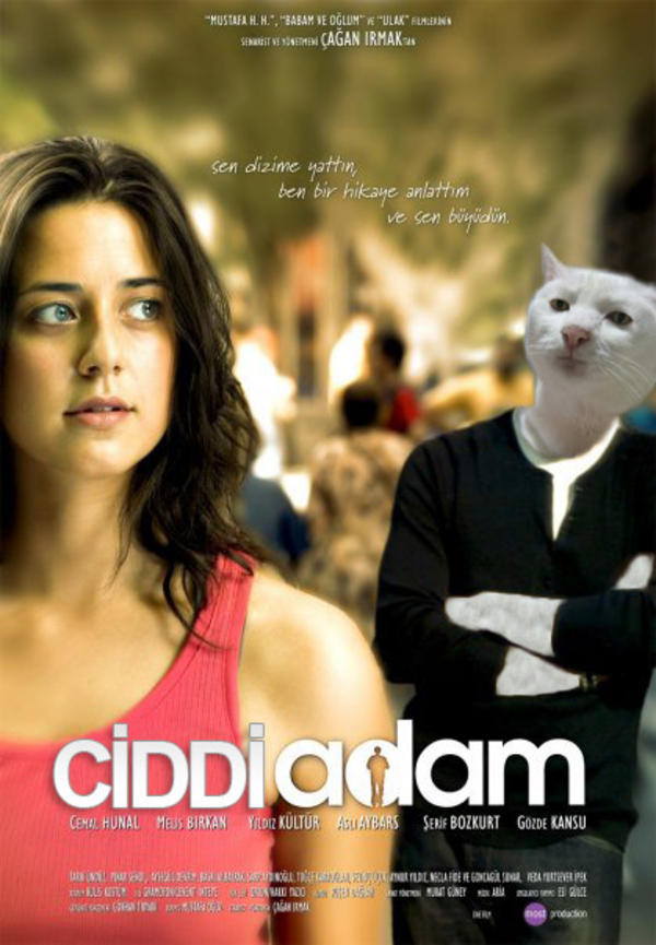 Serious Man | Serious Cat | Know Your Meme