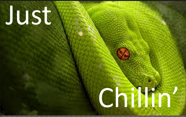 Just Chillin' #2 | Just Chillin' | Know Your Meme